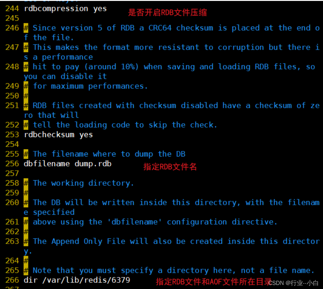 NoSQL之Redis配置与优化_redis fsync-CSDN博客