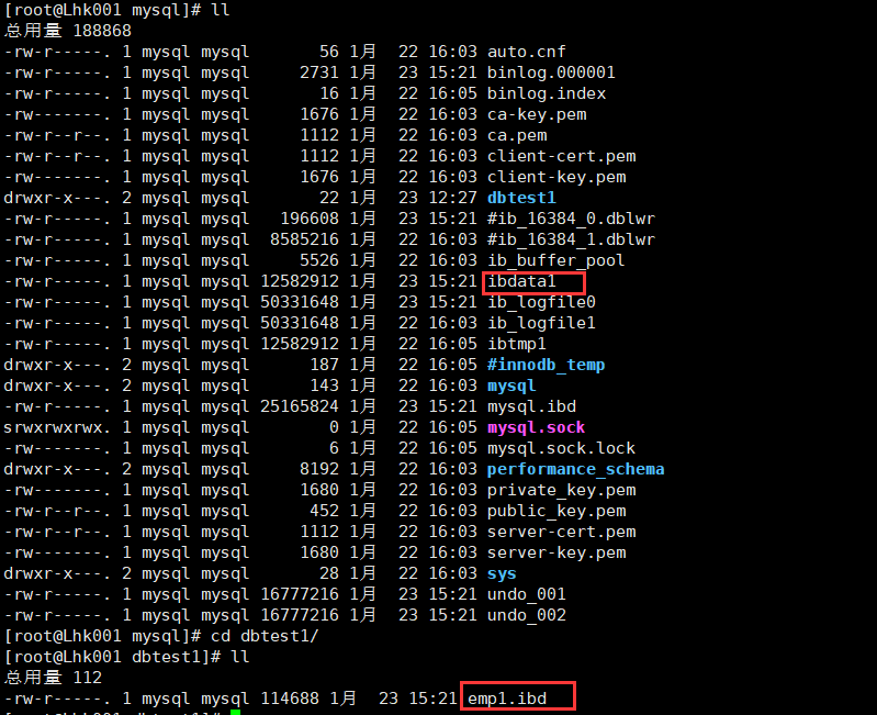 MySQL8的主要目录结构_mysql8.0证书文件目录-CSDN博客