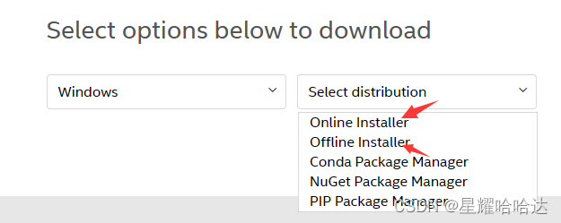 英特尔®oneAPI 数学内核库（oneMKL）windows安装教程-CSDN博客