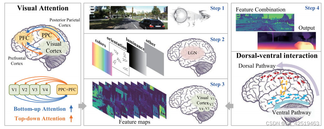 【论文阅读】SABV-Depth: A biologically inspired deep learning network ...