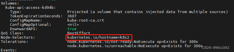 Kubernetes的pod管理_kubectl pod 管理-CSDN博客