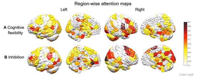 文献解读01-Multi-level and joint attention networks on brain functional connectivity for cross ...