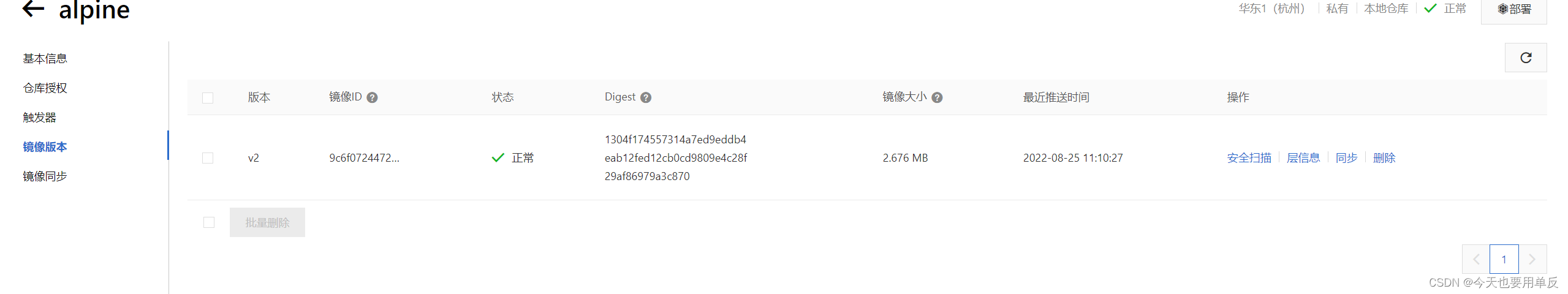 使用aliyun的registry上传下载镜像以及使用registry镜像运行容器上传下载镜像_registry.tar.gz docker镜像 下载-CSDN博客