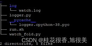 监控文件变化 (Python—看门狗)_python watchdog监控不到文件变化-CSDN博客
