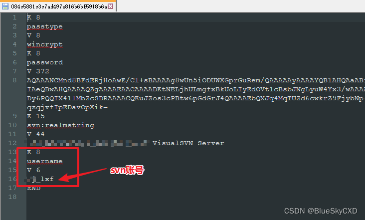 怎么查看SVN当前登陆账号_svn如何查看当前用户-CSDN博客