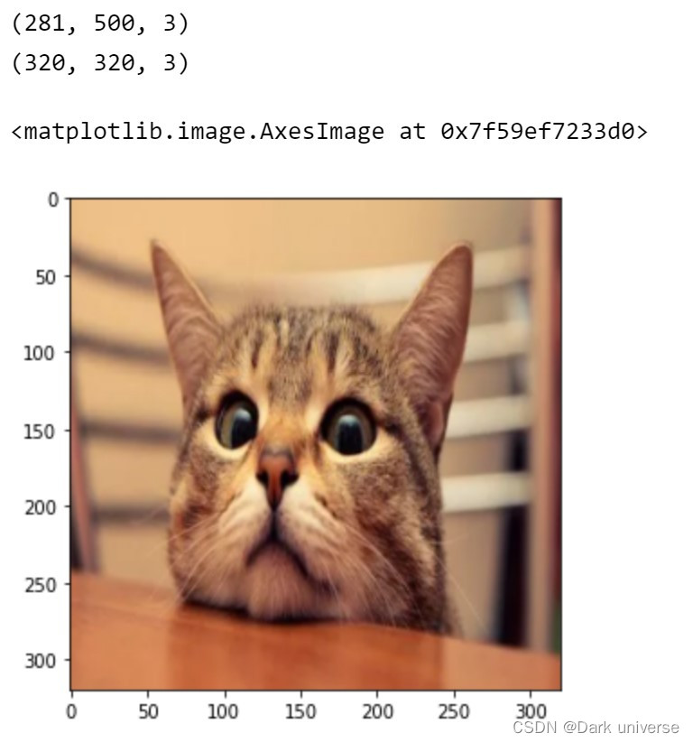 一只猫引出的数据增强 Data Augmentation Randombrightnesscontrast Csdn博客 