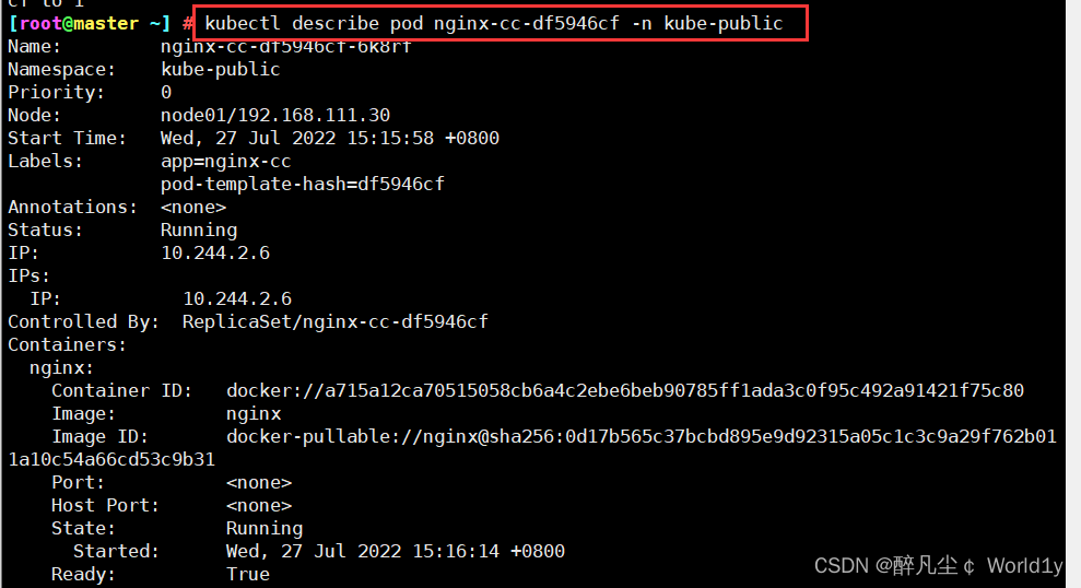 K8S 中 kubectl 命令_kubectl exec -it-CSDN博客