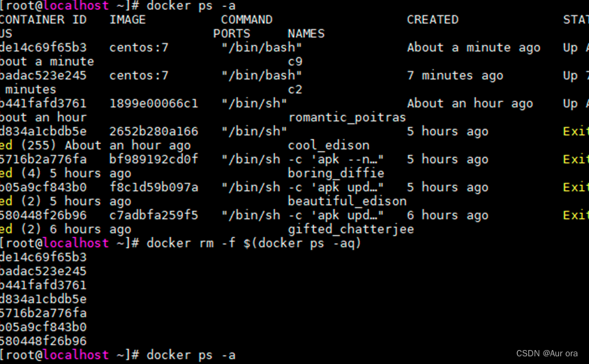 Docker之网络配置_docker run --network host-CSDN博客