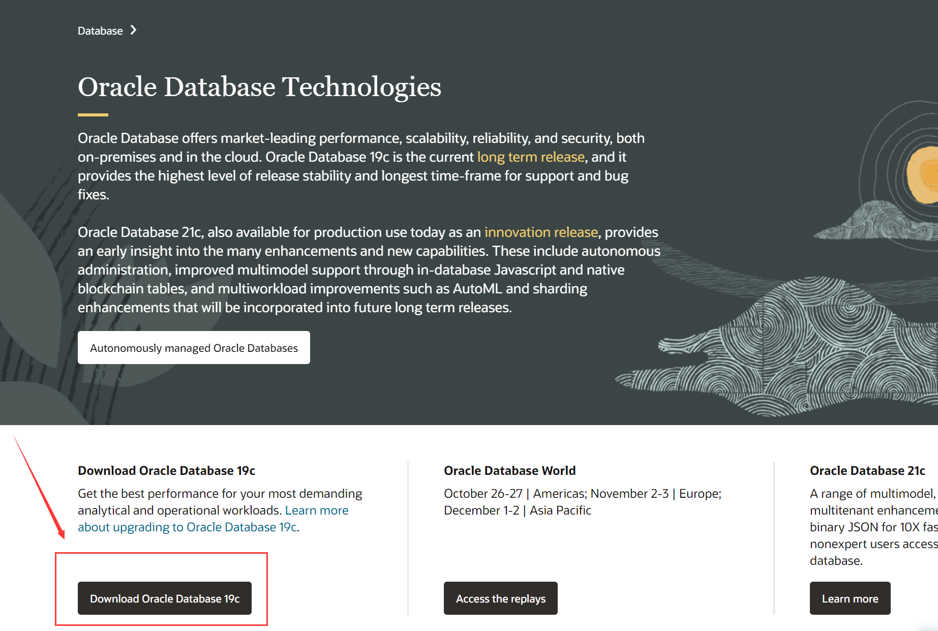 Oracle19c数据库下载及安装步骤(详细)以及连接Navicat和PLSql_cloud applications and cloud platform-CSDN博客