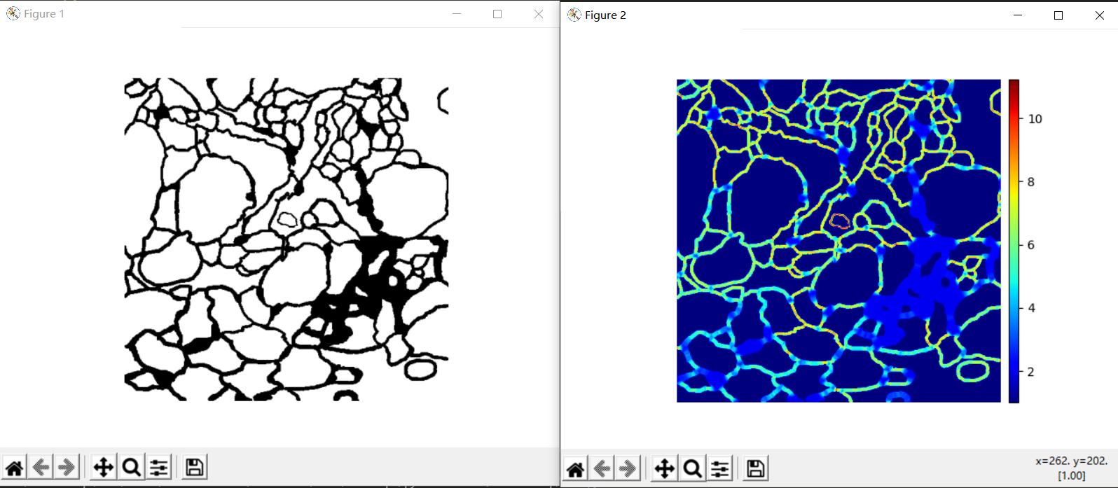 Unet网络weightloss复现_unet weight loss-CSDN博客