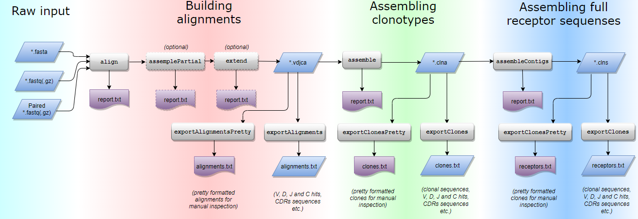 MIXCR处理VHH高通量测序数据-CSDN博客