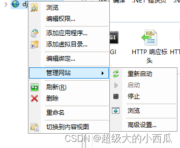 Django 部署到Windows Server (IIS)_windows server部署django-CSDN博客