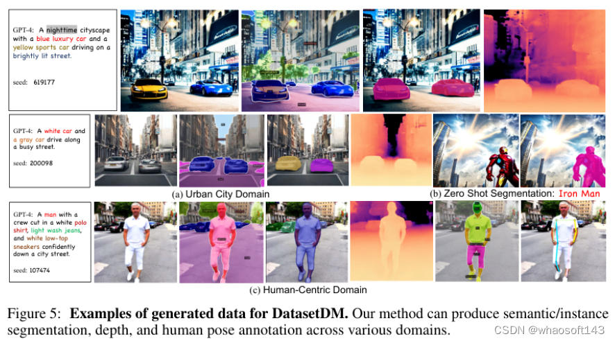 DatasetDM-CSDN博客