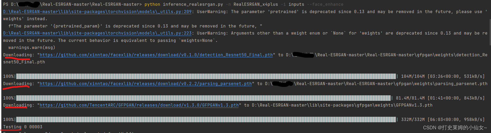 RuntimeError: unexpected EOF, expected 724745 more bytes. The file ...