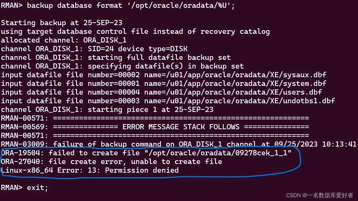 Oracle rman 备份恢复使用_rman 会备份用户么-CSDN博客