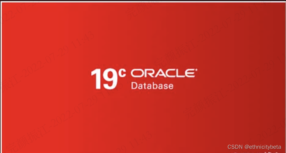 Linux安装oracle 19c_linux安装oracle19c_完颜振江的博客-CSDN博客