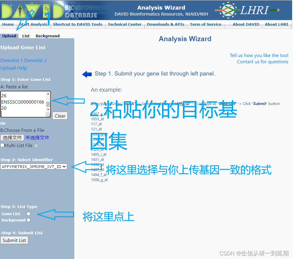 DAVID富集分析详细步骤（啰嗦版）-CSDN博客