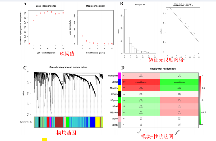 WGCNA_wgcna聚类要不要去离群值-CSDN博客