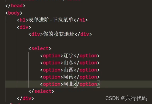 表单进阶 下拉菜单 option select size multiple 文本域 placeholder textarea horizontal vertical_option size ...