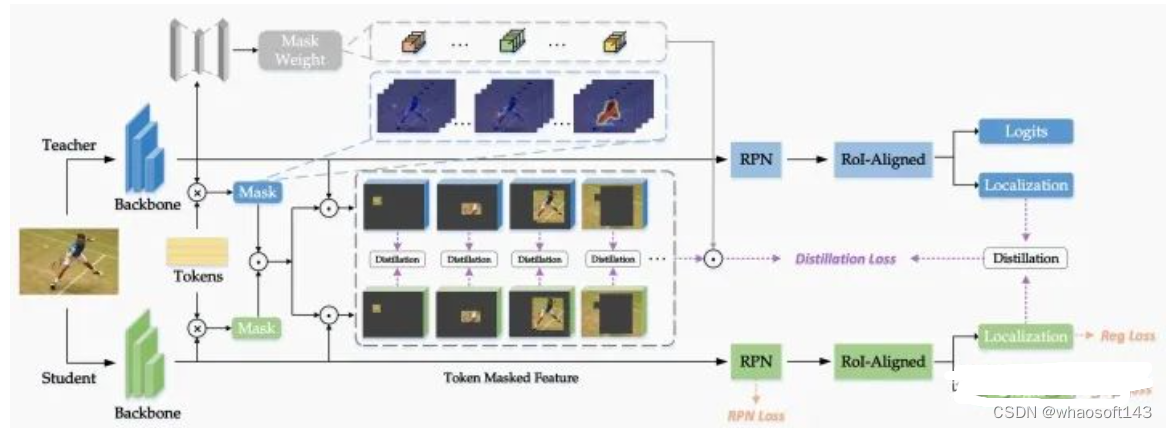 MasKD_语义掩码-CSDN博客