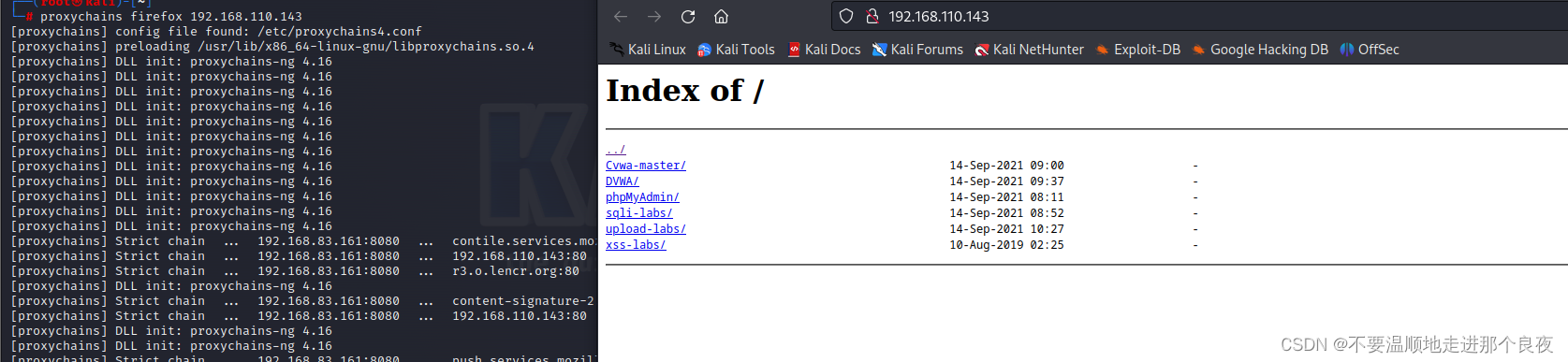 代理转发与隧道应用_netsh interface portproxy add v4tov4-CSDN博客
