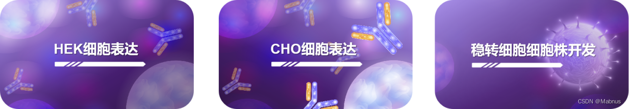 T淋巴细胞表面关键分子：CD3（内含CD3抗体序列下载）_cd3抗体结构-CSDN博客