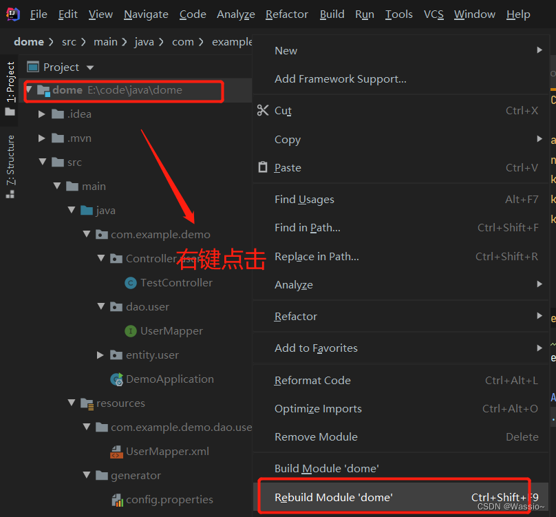 如何在IDEA中快速生成Entity实体，DAO包，Mapper映射_idea自动生成entity-CSDN博客
