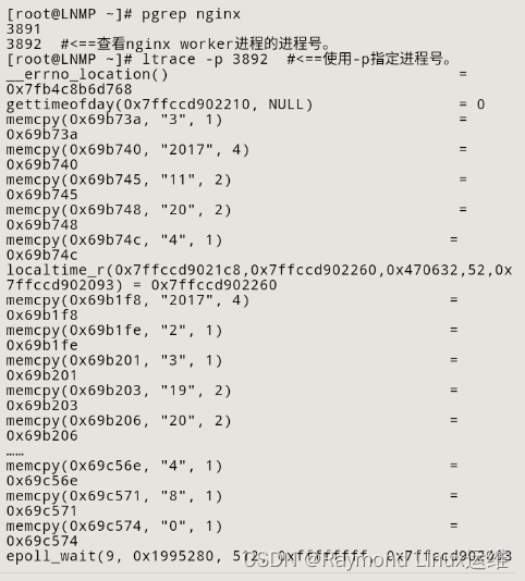 L62.linux命令每日一练 -- 第九章 Linux进程管理命令 -- strace和ltrace_linux ltrace-CSDN博客