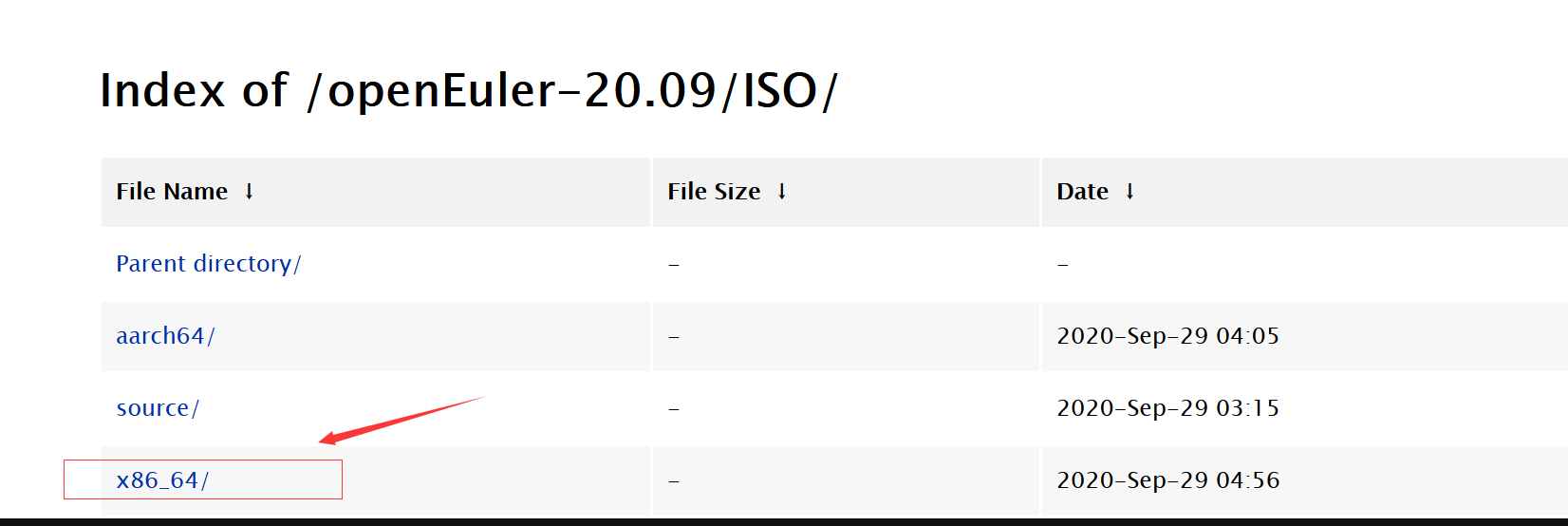 openEuler 操作系统安装及配置网络_openeuler重启网络-CSDN博客