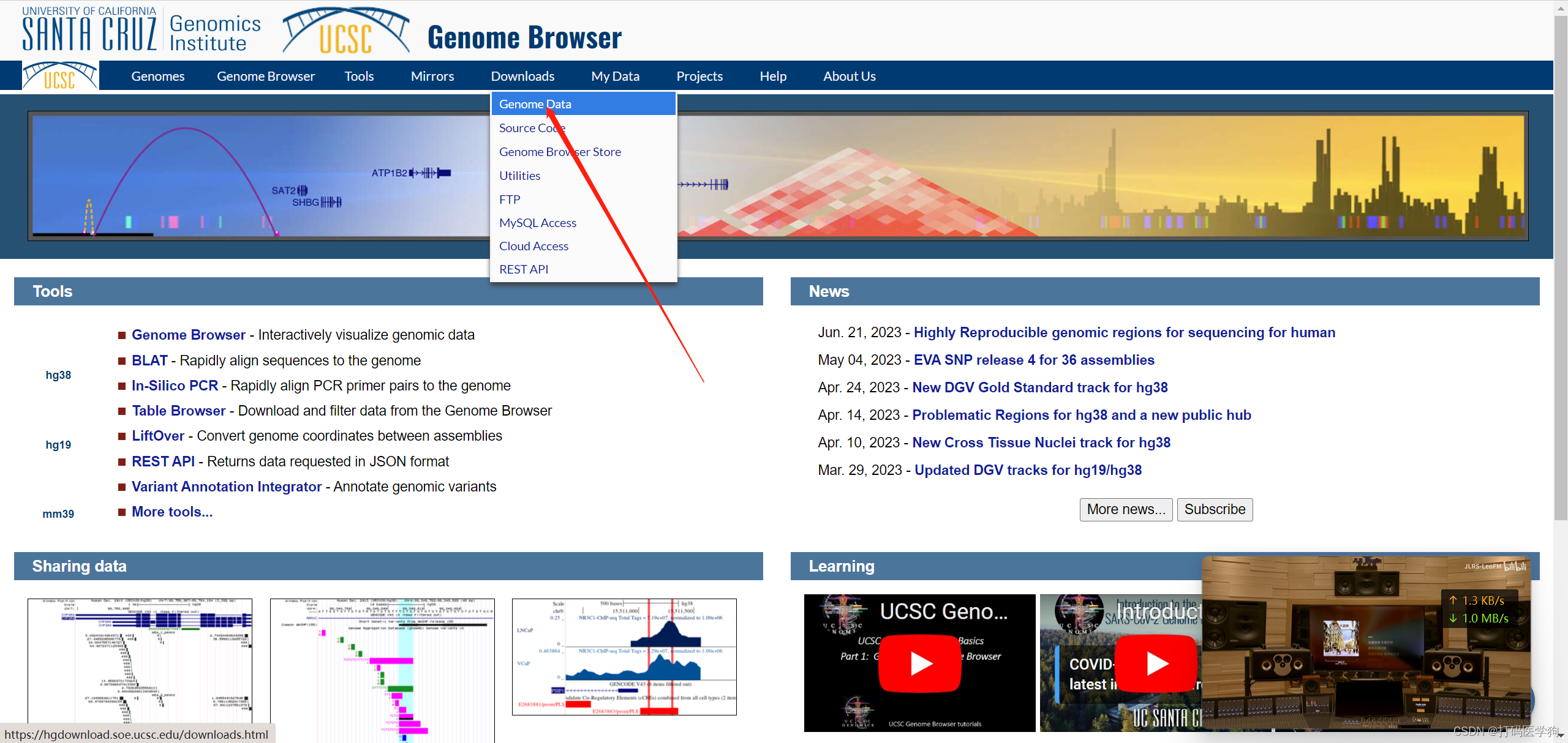 UCSC参考基因组下载----＞ bwa 建立index_bwa index-CSDN博客