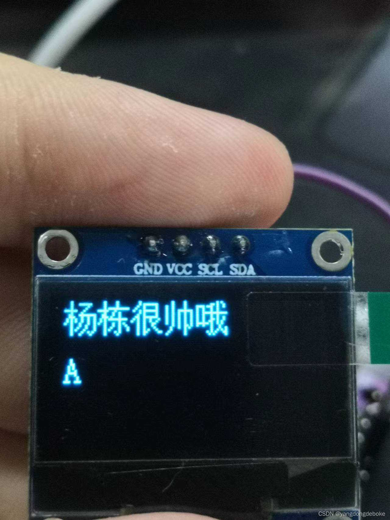 使用51单片机与oled配合进行IIC通讯显示汉字或字符_单片机oled显示函数放在哪里才能不干扰主程序-CSDN博客