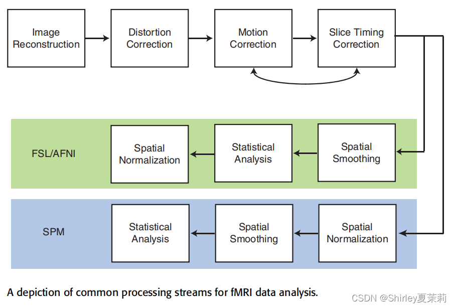 Handbook of Functional MRI Data Analysis[手册中文笔记]第一期：introduction_功能磁共振 ...
