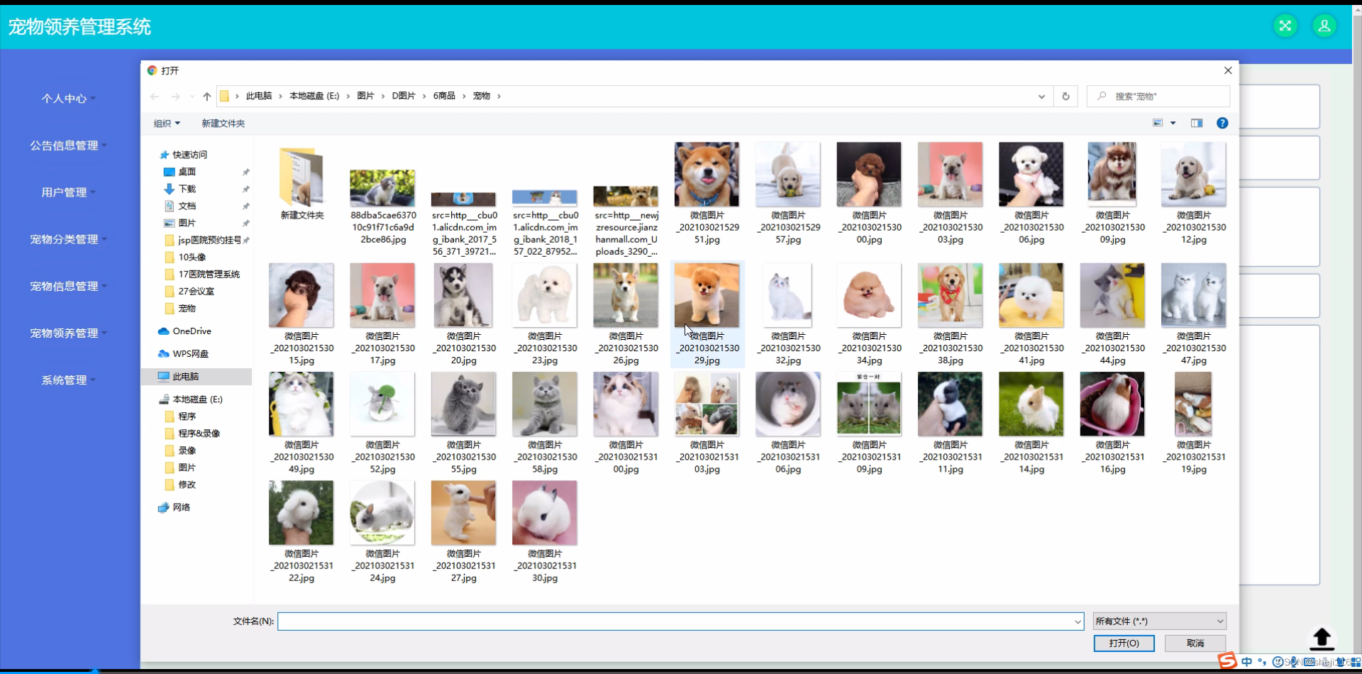 Java毕设项目宠物领养管理系统计算机(附源码系统数据库lw) Csdn博客