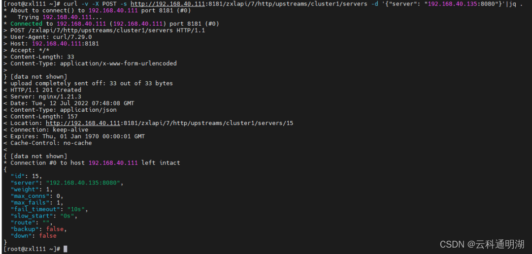 API 动态更新 Upstream_upstream api-CSDN博客