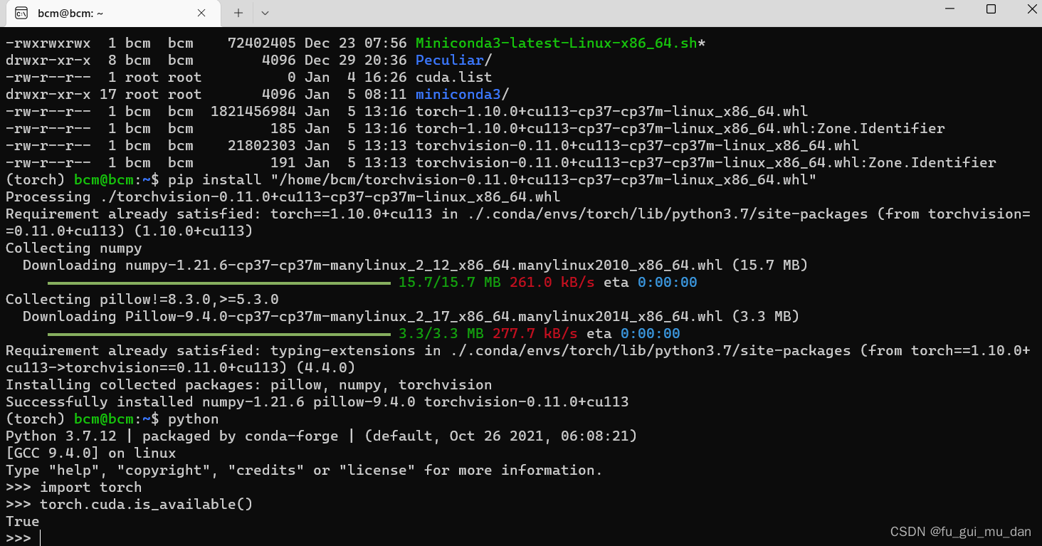 WSL2 安装 CUDA（Win11）_win11 wsl2 安装cuda-CSDN博客