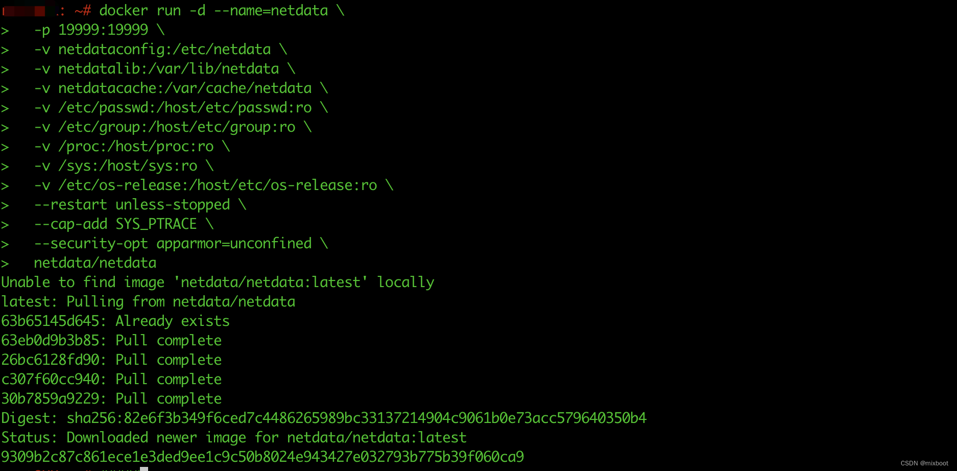 Docker 运行 Netdatanetdata Docker Csdn博客