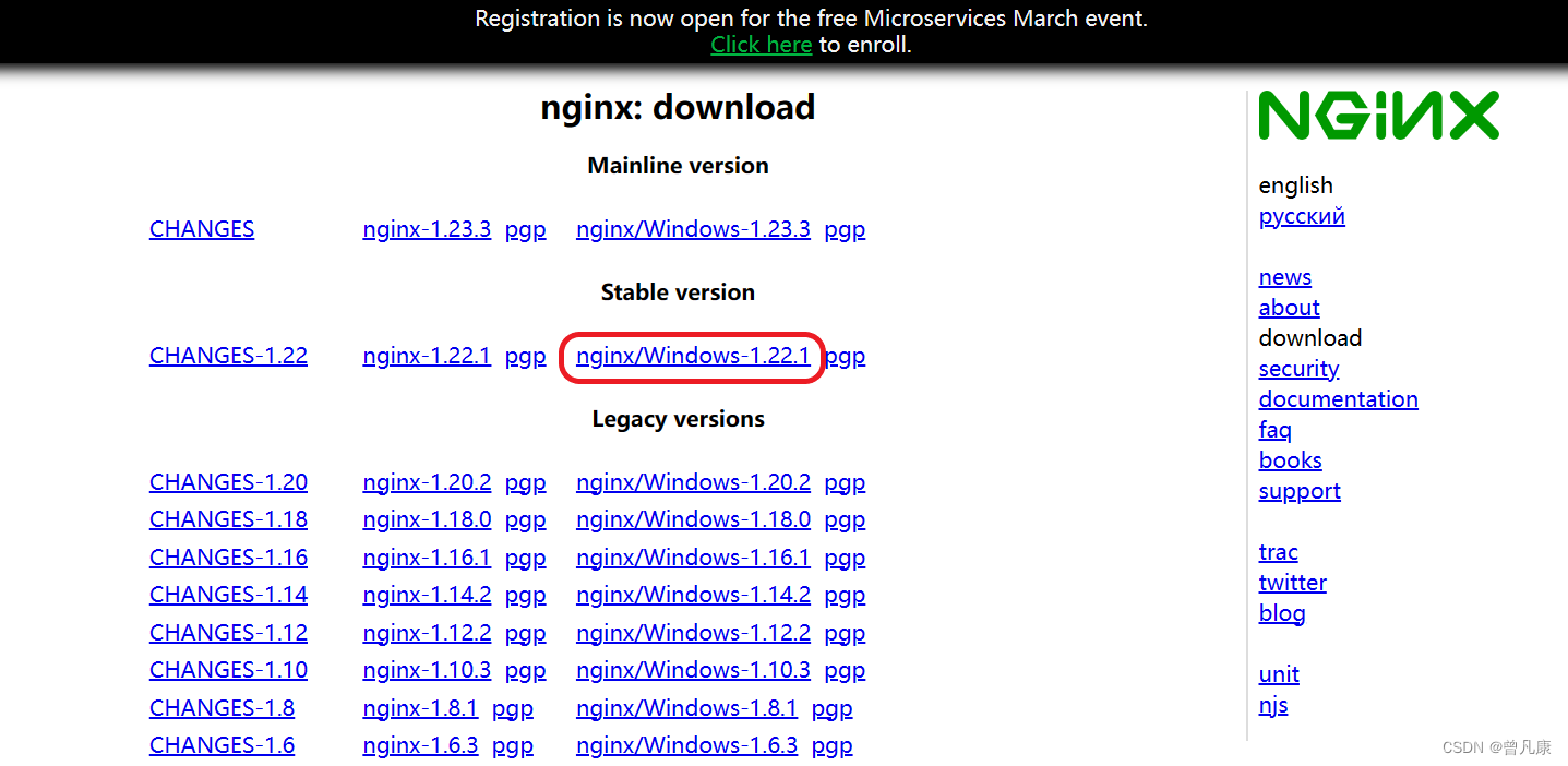Nginx-1.22.0 安装及配置运行教程（Windows 10）_nginx1.22.0-CSDN博客