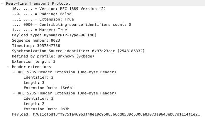 RTP协议与实战-CSDN博客