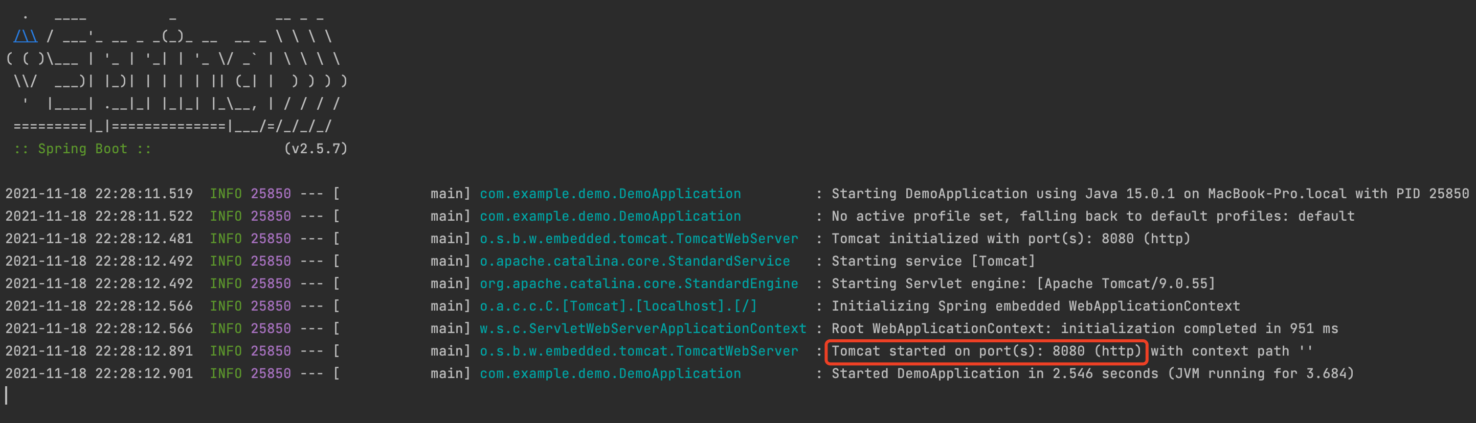 启动springboot的demo工程 Demoapplication Csdn博客