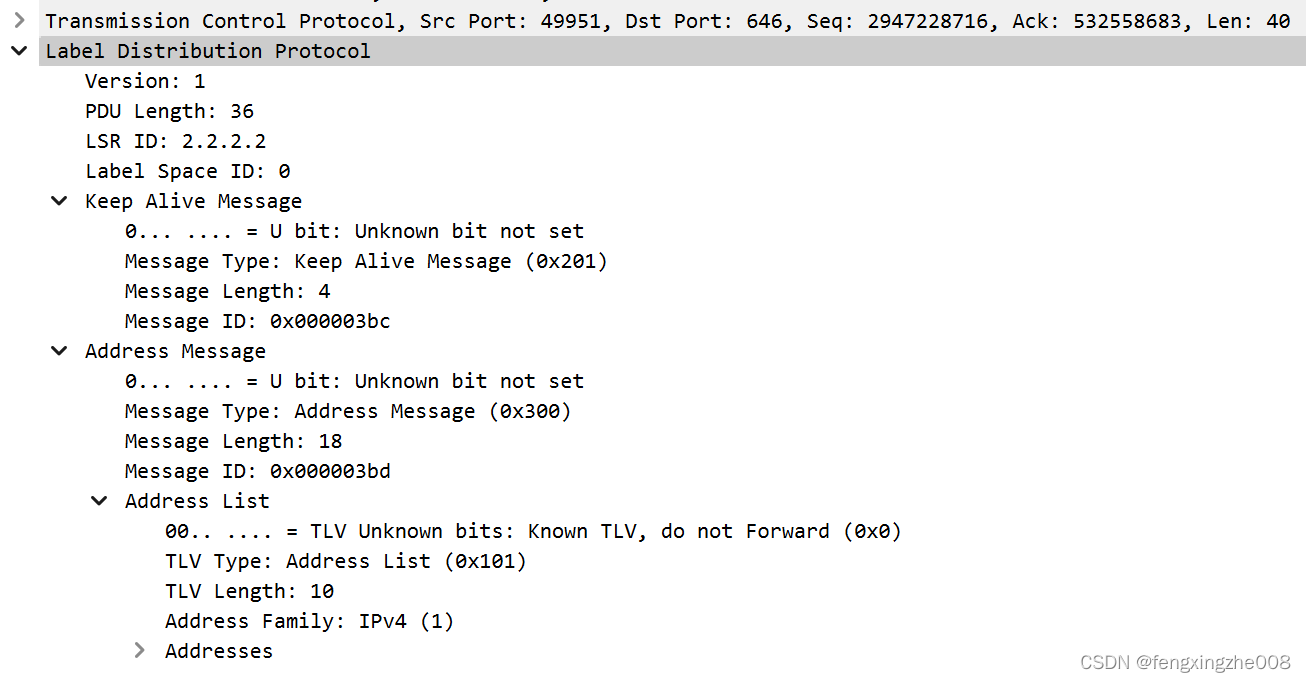 MPLS/LDP原理介绍+报文分析+配置示例_mpls报文格式-CSDN博客