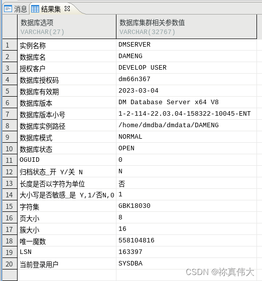 Dm8达梦数据库：sql查询达梦数据库实例的详情达梦数据库实例名查询 Csdn博客 