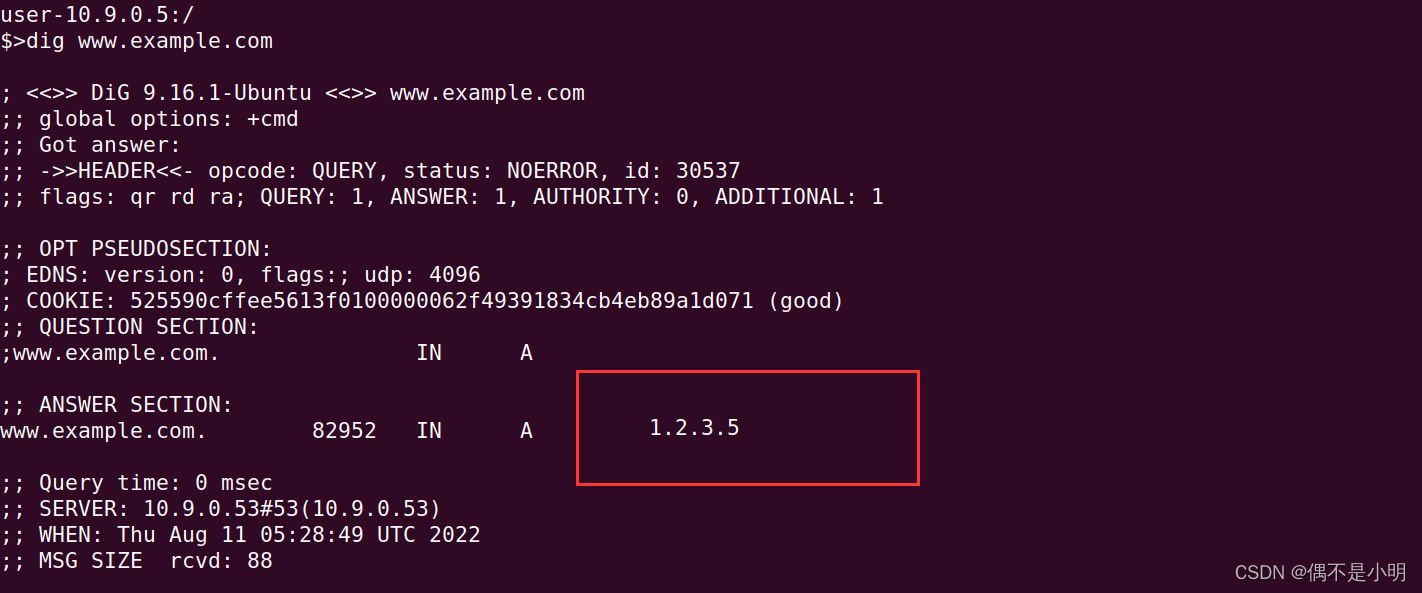 【SEED LABS】The Kaminsky Attack Lab-CSDN博客