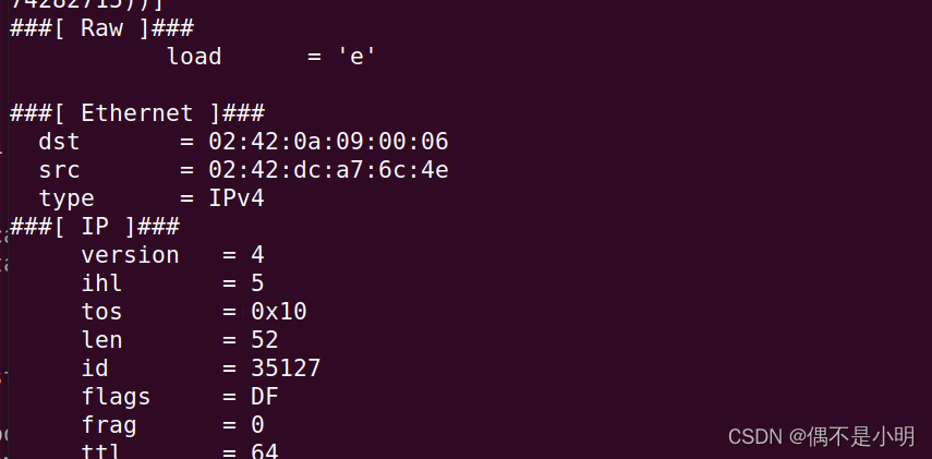 Lab1 Packet Sniffing and Spoofing Lab-CSDN博客