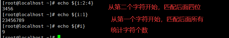 echo命令_echo不换行输出-CSDN博客