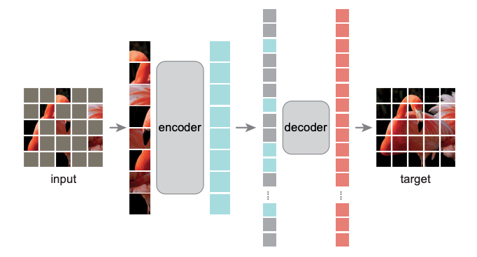 完整阅读 何凯明最新一作：Masked Autoencoders Are Scalable Vision Learners_our mae ...