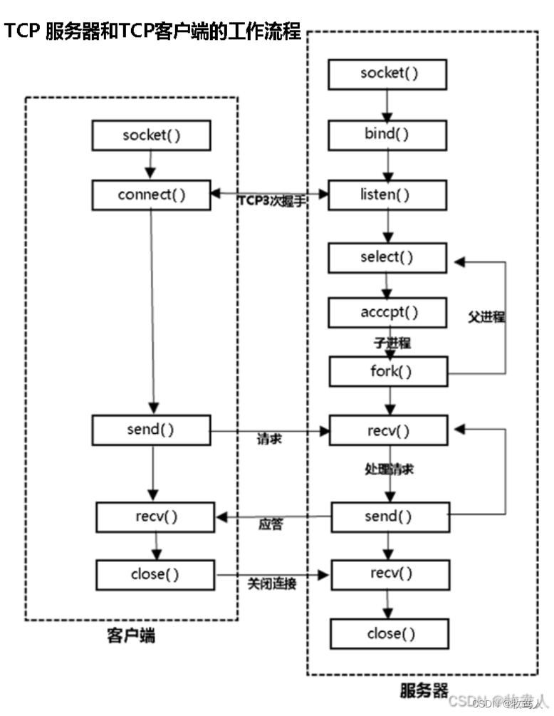 C/S模型与P2P模型_cs模式和p2p模式的公式-CSDN博客