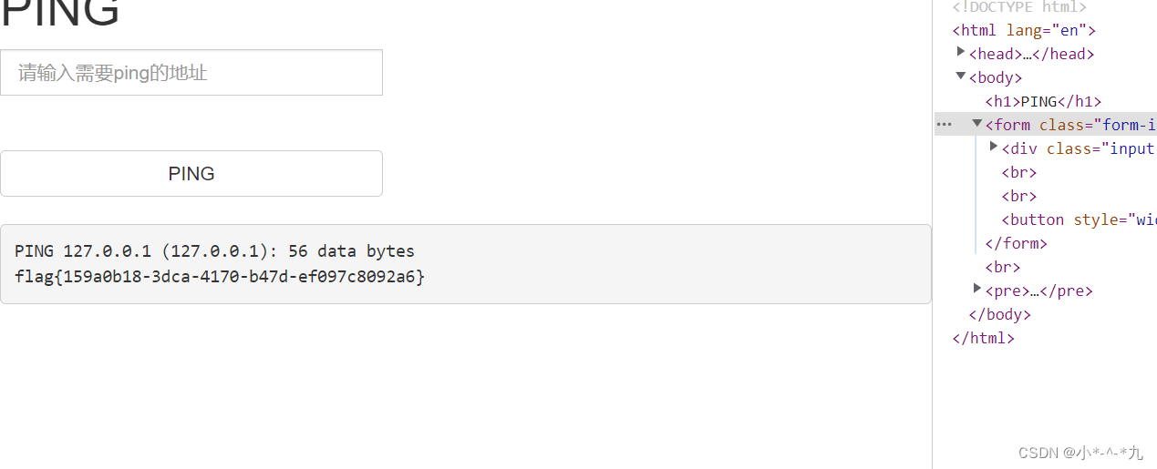 [ACTF2020 新生赛]Exec 1_极客大挑战exec-CSDN博客