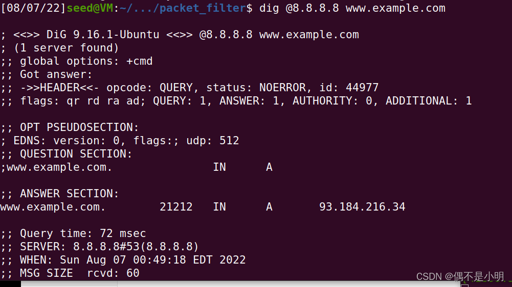 SEED-LABS Firewall Exploration Lab-CSDN博客