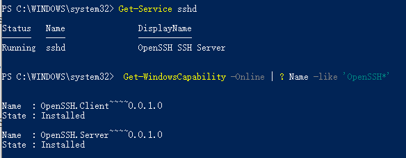 借助 vscode Remote-SSH 插件与 Sakura Frp 实现内网穿透及远程开发_vscode frp 远程开发-CSDN博客